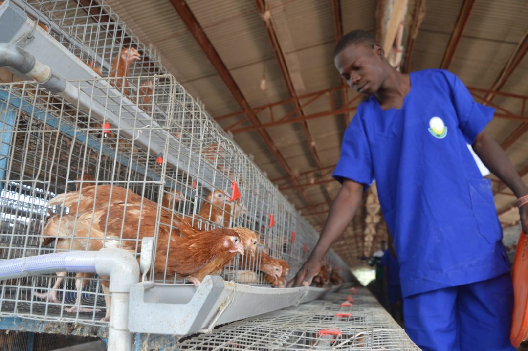 Products & Services | Farm Support Group